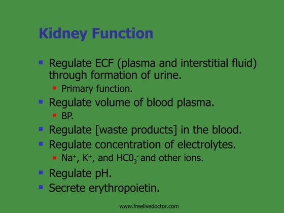 Filtration, diffusion, and osmosis | PPTX | Chemistry | Science