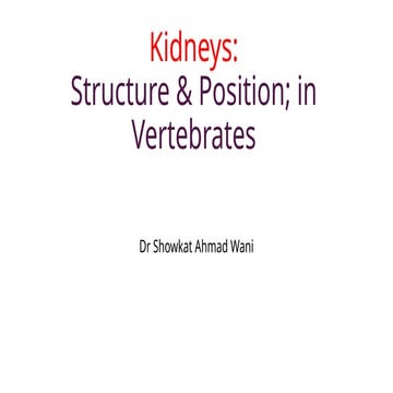 Kidneys, Position, Types in vertebrates.pptx
