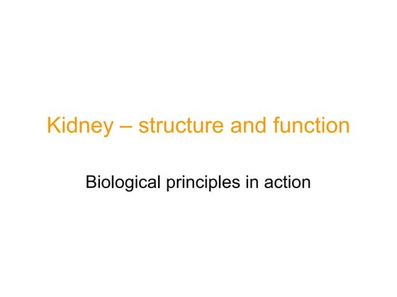 Functions of urinary system, Kidney & Nephron | PPT