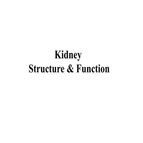 Kidney+Structure+&+Function1-2.ppt detail description of kidney | PPT