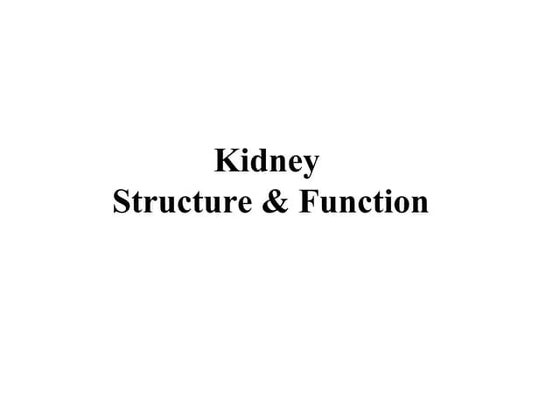 Structure of nephron and functions of its parts | PPTX | Endocrine and ...