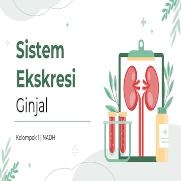 sistem ekskresi ginjal pada manusia dan kelainannya | PPTX