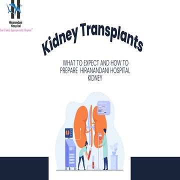 What to Expect During a Kidney Transplant: Step-by-Step Patient Guide ...