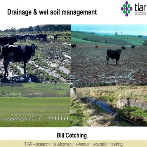 Ki drainage2011 | PDF