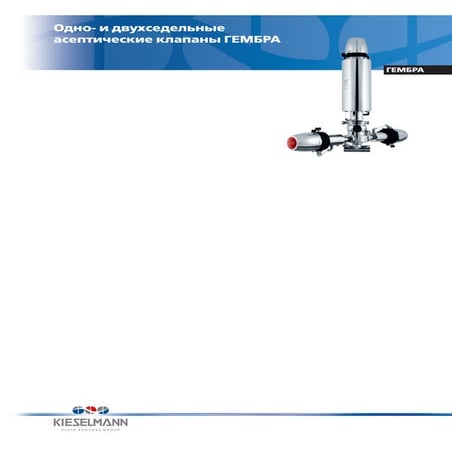 Kieselmann valve technology | PPTX