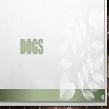 Kilimanjaro alias red bull goooooood.pptx