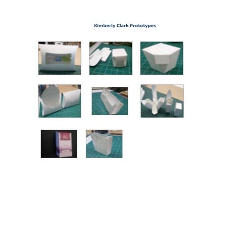 Kimberly Clark Prototypes | PDF