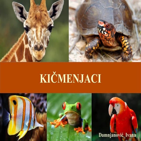 Gradja biljaka | PPTX