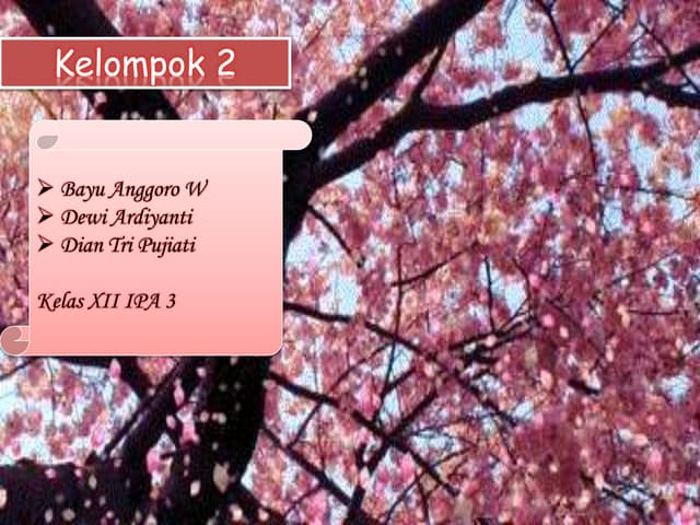 SlideShare Unsur Kimia Halogen | PPTX