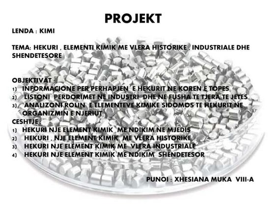 Gazeta e shkolles | DOCX