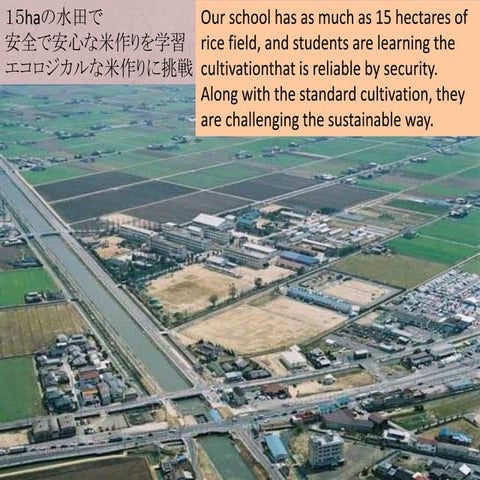 Kimura Method | PPTX