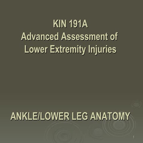 Kin191 A. Ch.5. Ankle. Lower Leg. Anatomy. Fall 2007 | PPT