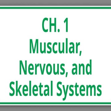 Ch.1 Muscular, nervous, and skeletal systems | PPTX