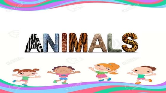 Animals Docx