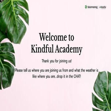 Kindful Academy Slides - Wealth Insights for Annual Giving.pdf