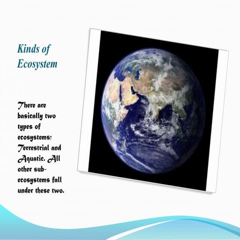 Kinds of ecosystem | PPTX