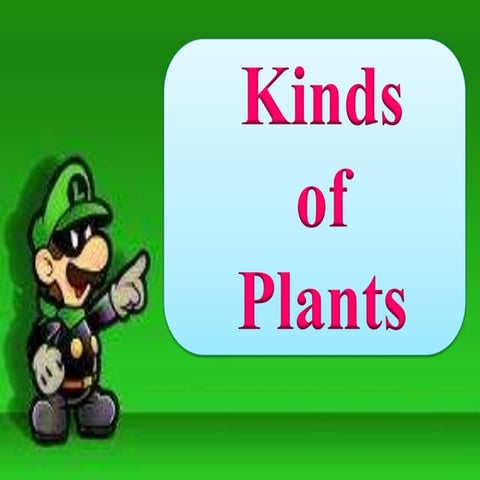 Kinds of plants | PPTX
