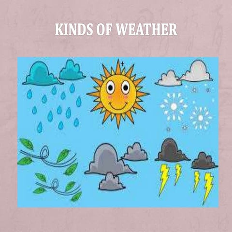 Safety and Precautionary Measures in Dealing with Different Types of ...