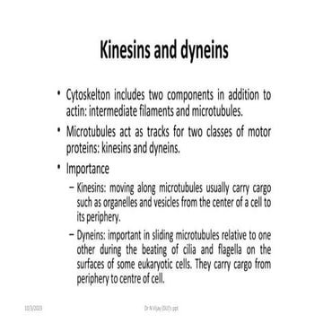 kinesin and dynein.pptx