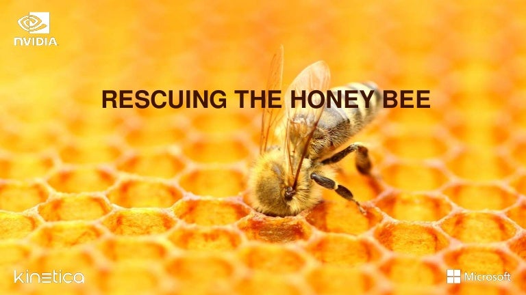 Rescuing the Honey Bee with Kinetica, NVIDIA, and Microsoft