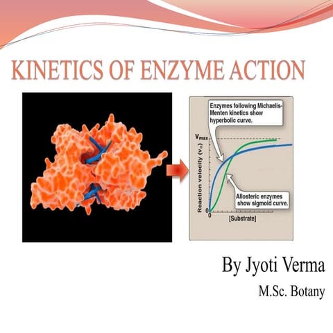 Derivations of ENZYME KINETICS (Part 1 - simplified and detailed) | PDF