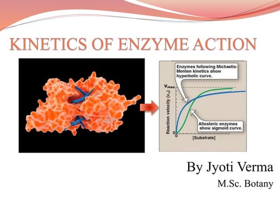 Enzyme kinetics- michaelis menten model, lineweaver burk plot | PPT