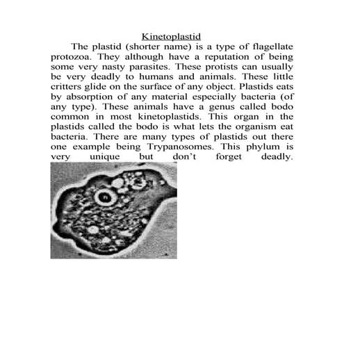 Kinetoplastid | DOC