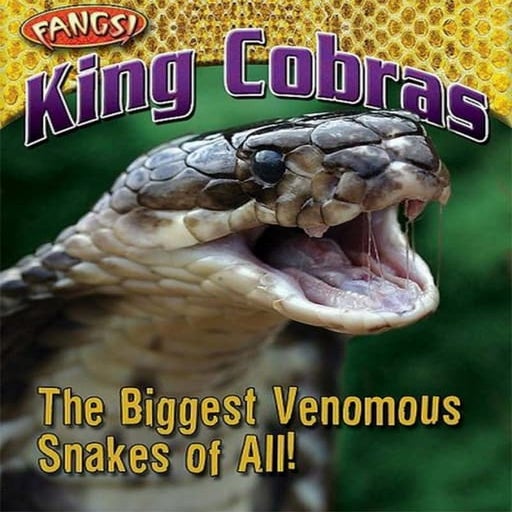 King Cobras | PDF