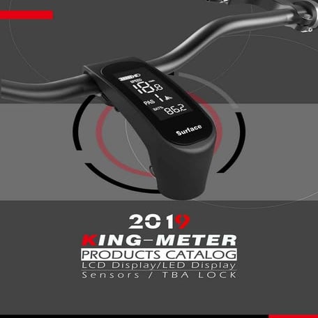 King-Meter 2019 Catalog for your eBikes. | PDF