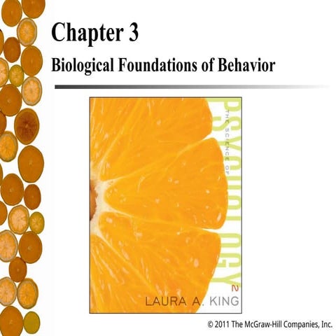 king2_ppt_ch01.pptbbbbbbbbbbbbbbbbbbbbbbbb | PPT