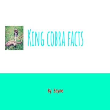 King Cobra | PPTX | Reptiles | Pets