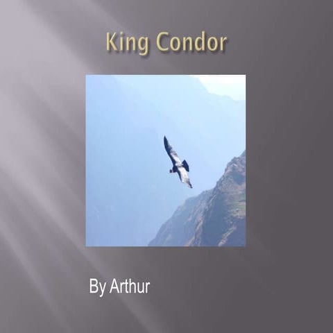 The King condor | PPTX