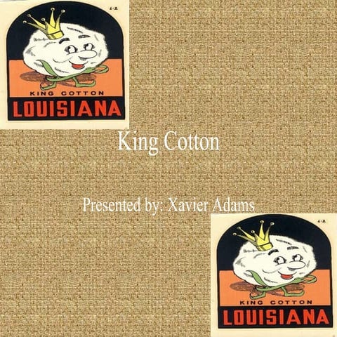 King Cotton | PPT
