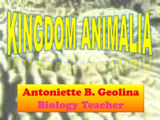 26 intro to the animal kingdom | PPT