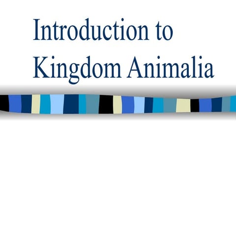 Kingdom animalia | PPT