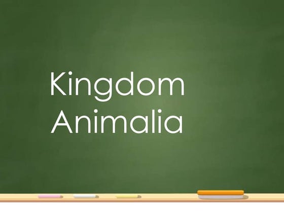Animal Kingdom | PPT