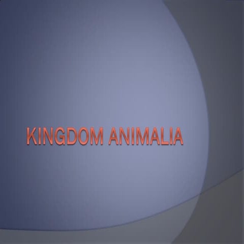 Kingdom animalianew | PPT
