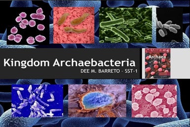 Kingdom Eubacteria Examples Organisms