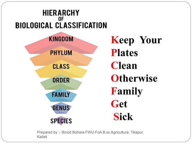 FIVE KINGDOM CLASSIFICATION-RH Whittaker | PPTX