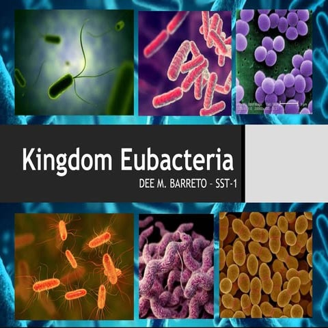 Kingdom Eubacteria | PPT