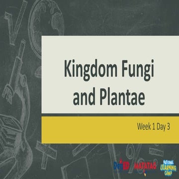 Kingdom Fungi and Kingdom Plantae...pptx
