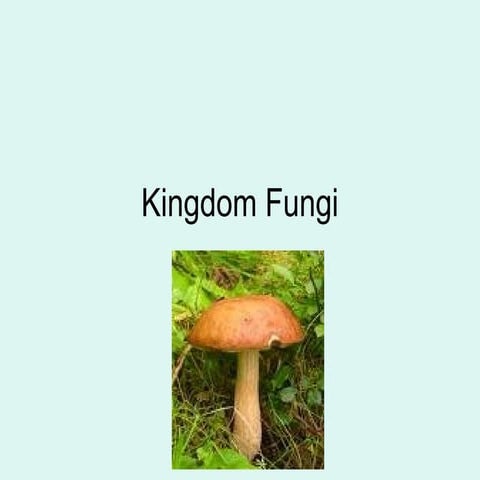 Kingdom fungi.edited | PPT