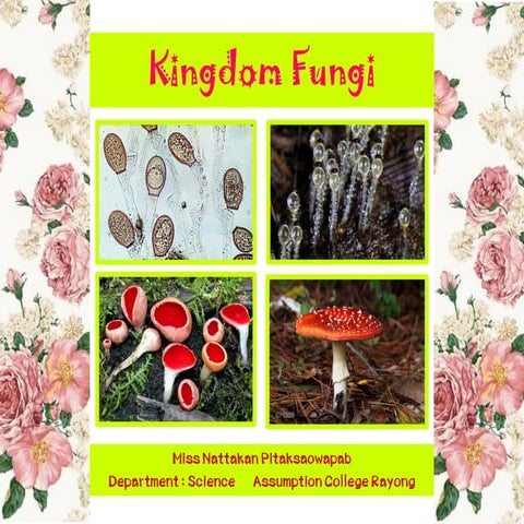 Kingdom fungi 3 | PDF