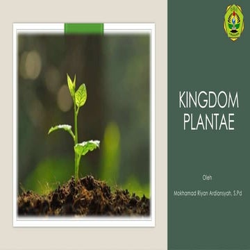 Kingdom plantae.pptxKMdfjksmdfkSNFKWENWMJWKD | PPT