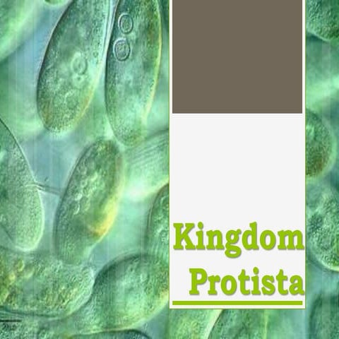 Kingdom Protista | PPT
