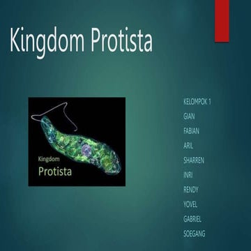 Kingdom Protista.pptx