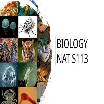 Kingdoms of life.pptx It teaches about the kingdom of life | PPTX