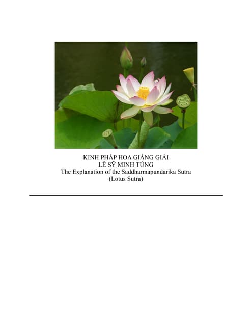 Gia su tieng Han | PDF