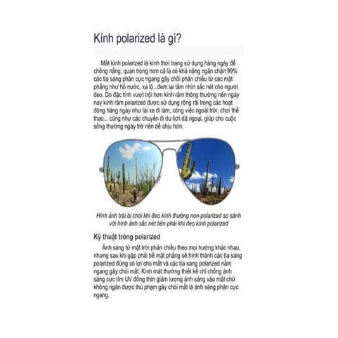 Kinh polarized là gì? | PPT