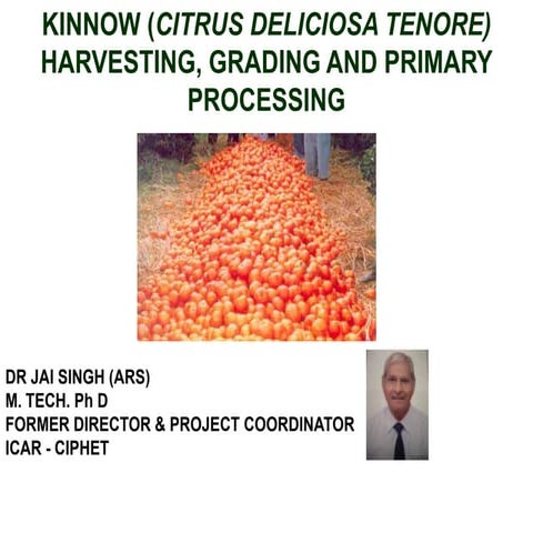Kinnow Harvesting, GRADING AND PRIMARY PROCESSING | PPTX